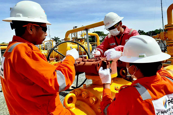 PT Pelayanan Energi Batam